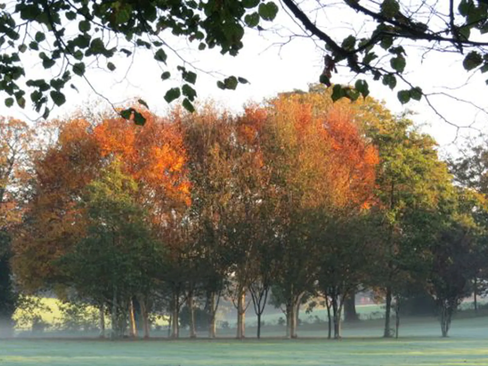 Government House | Government House Guernsey
